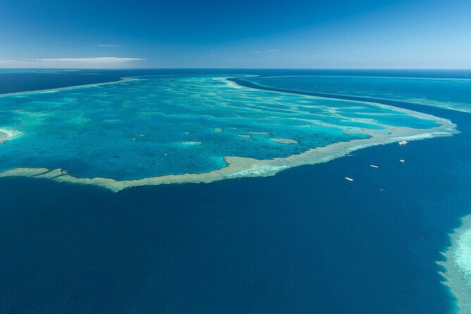Heart Reef & Whitehaven Rest and Relax - 2.5Hr Helicopter Tour - Who Would Love This Tour?