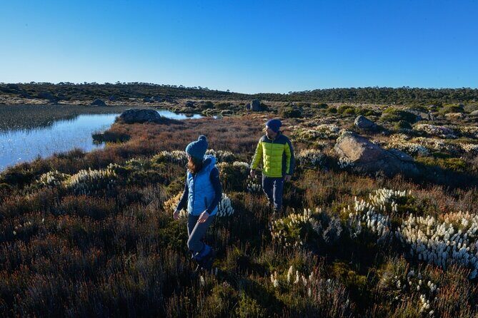 Heartlands Odyssey Comfort Tour 4 Days - Exploring Tasmania’s Central Highlands in Style