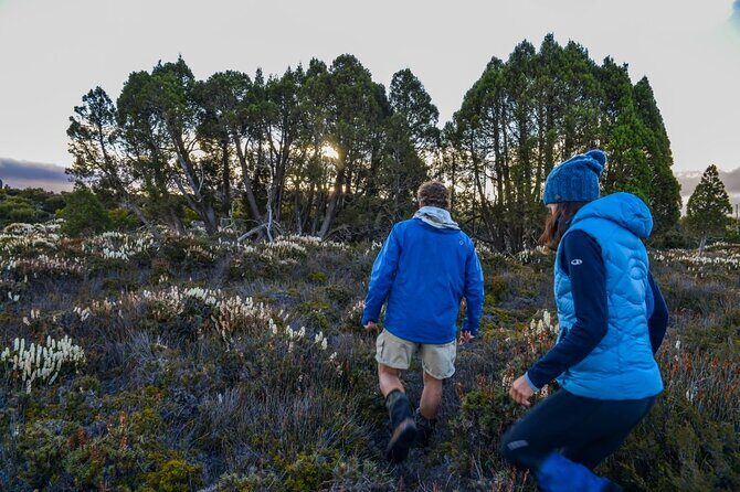 Heartlands Odyssey Comfort Tour 4 Days - What the Reviews Reveal About the Experience