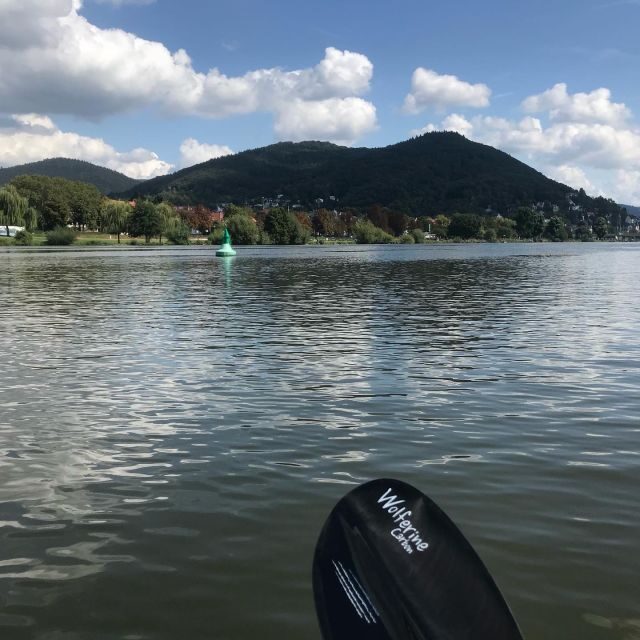 Heidelberg: 2-Hour Kayak Tour - An In-Depth Look at the Heidelberg Kayak Tour