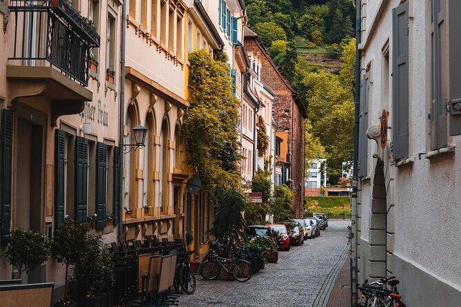 Heidelberg Castle and City Day Tour from Frankfurt - Logistics and Practicalities