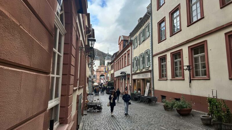 Heidelberg: Experience our history 1.5-hour walking tour through the old town - Exploring Heidelberg in 1.5 Hours: What to Expect