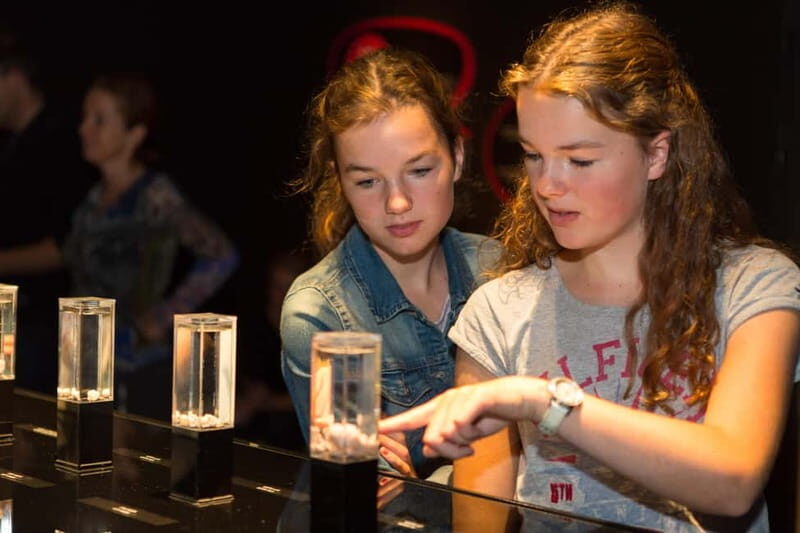 Heidelberg: KÖRPERWELTEN Museum Entry Ticket - An Honest Look at the Heidelberg KÖRPERWELTEN Museum