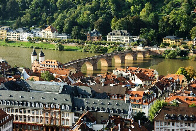 Heidelberg - Old Town tour Including Castle visit - Who Will Love This Tour