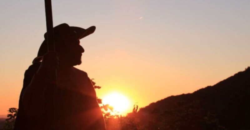 Heidelberg: On the trail of the Night Watchmen - Practical Details: What You Need to Know