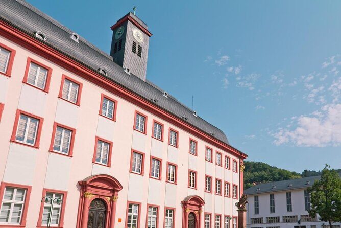 Heidelberg Public Walking Tour With A Professional Guide - Key Points