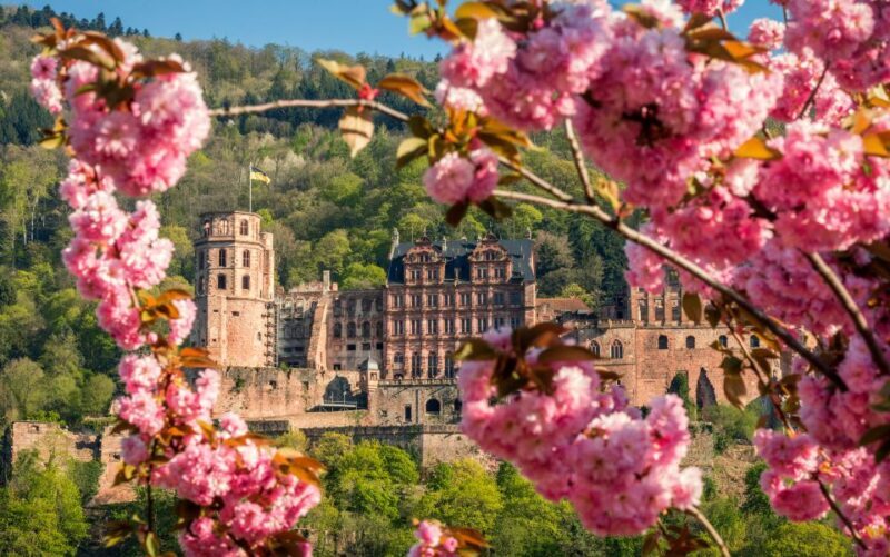 Heidelberg: Sightseeing Bus and Castle Tour - Key Points