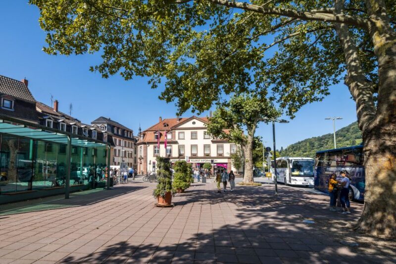 Heidelberg: Sightseeing Bus and Castle Tour - Detailed Review of the Tour Experience