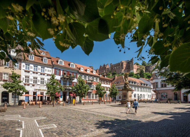 Heidelberg: Walking Tour of the Old Town - Key Points