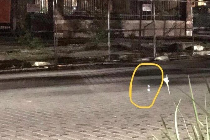 Helen Haunts, Murder, Mystery Tour With Paranormal Investigation - Who Will Love This Tour?