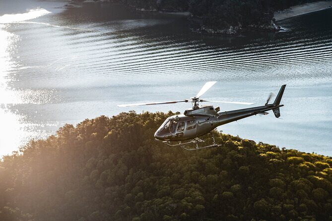 Heli-Scenic Abel Tasman Experience - Who Is This Tour Best For?