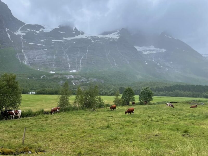 Hellesylt to Norangsdalen: Scenic E-Bike Tour - Authentic Feedback from Guests