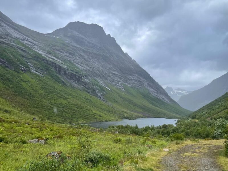 Hellesylt to Norangsdalen: Scenic E-Bike Tour - Who Would Enjoy This Tour?