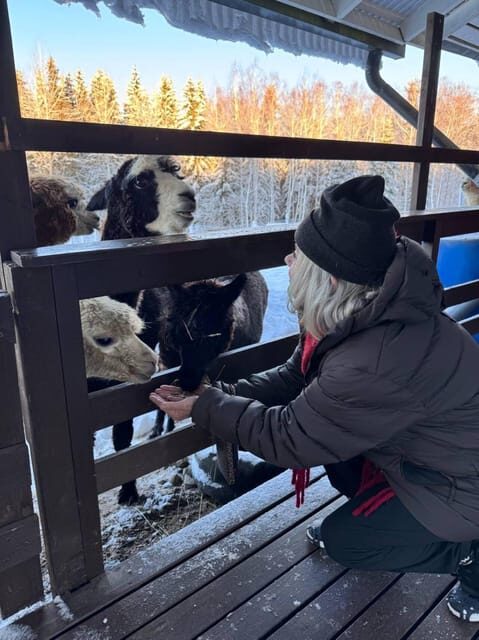 Helsinki: Alpaca Farm Tour with Guided Walk (private) - Who Will Love This Experience?