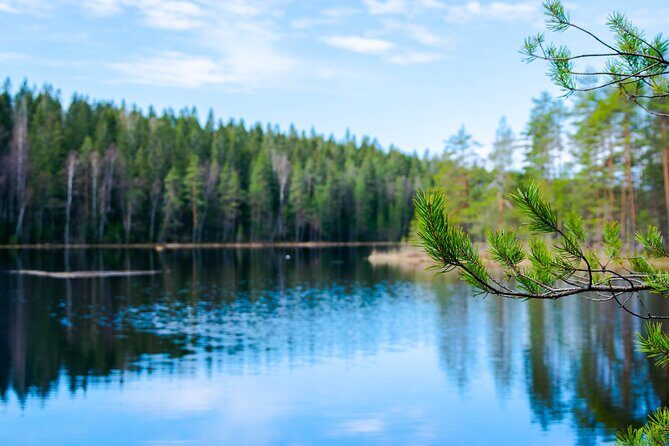 Helsinki: Nuuksio National park hiking with campfire lunch - Transportation and Group Size