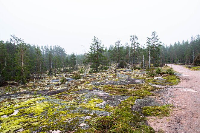 Helsinki: Nuuksio National park hiking with campfire lunch - The Sum Up