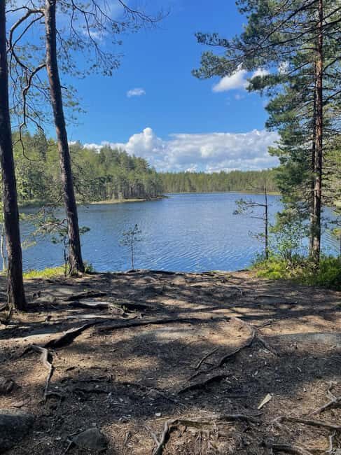 Helsinki: Nuuksio National park hiking with campfire lunch - Key Points