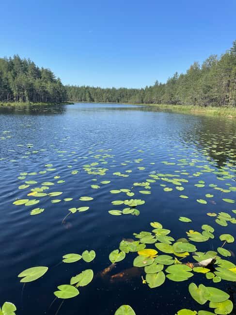 Helsinki: Nuuksio National park hiking with campfire lunch - FAQs