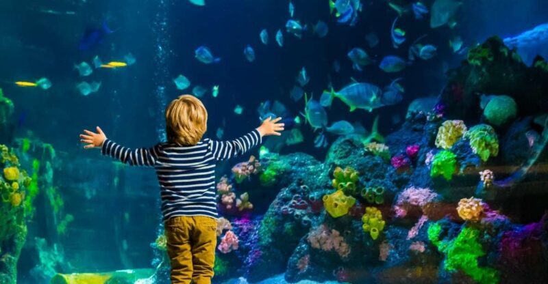 Helsinki: Sea Life Entrance Tickets - Value for Money