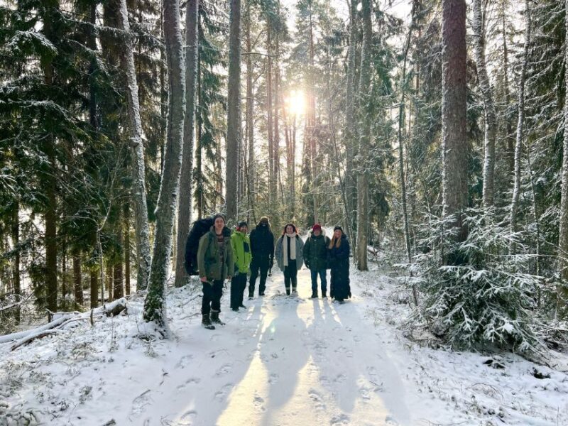 Helsinki: Winter Wonderland Liesjärvi National Park Hike - Suitable For