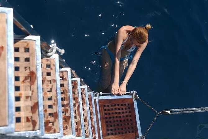 Hera Round Malta & Comino Blue Lagoon - The Allure of Malta from the Sea  