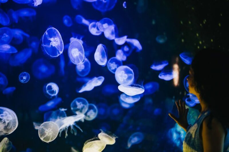 Heraklion Area: CRETAquarium Admission Ticket - FAQ