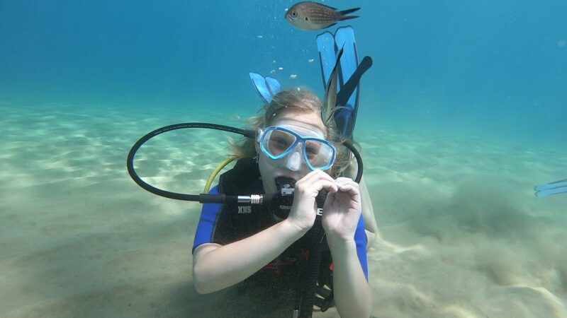 Heraklion: Beginner Scuba Diving Lesson with PADI Instructor - What Is the Heraklion Beginner Scuba Course?