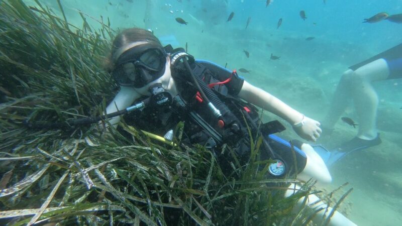 Heraklion: Beginner Scuba Diving Lesson with PADI Instructor - The Sum Up