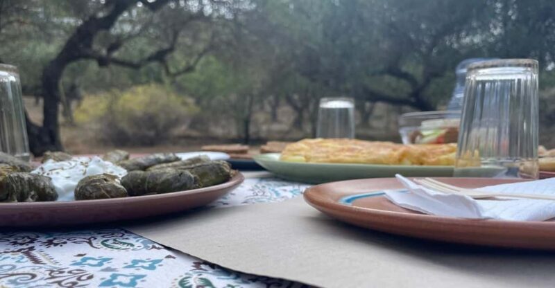 Heraklion: Cretan Farmers Brunch and Olive Grove Tour - The Olive Grove Tour: Learning from the Land