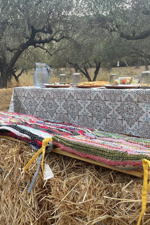 Heraklion: Cretan Farmers Brunch and Olive Grove Tour - Visiting the Dragon Fruit Farm: An Unexpected Highlight