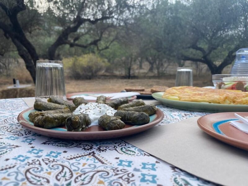 Heraklion: Cretan Farmers Brunch and Olive Grove Tour - Practical Details and What Makes It Special