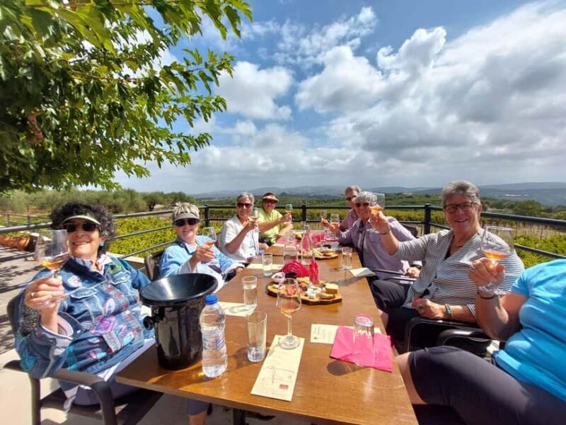 Heraklion: Cretan Wine Tasting Tour & Gourmet Lunch - Key Points