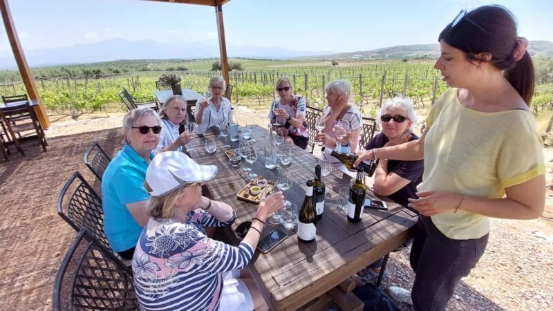 Heraklion: Cretan Wine Tasting Tour & Gourmet Lunch - An In-Depth Look at the Experience