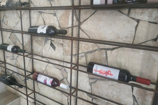 Heraklion Ecobike Tour & Cretan Wine Tasting Experience - Who Will Love This Tour?