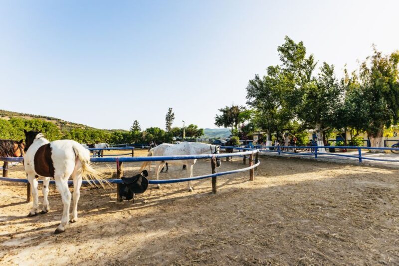 Heraklion: Finikia Horse Riding Tour with Lunch or Dinner - Key Points