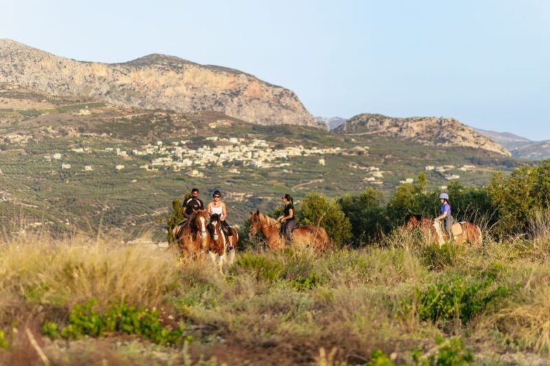 Heraklion: Finikia Horse Riding Tour with Lunch or Dinner - A Deep Dive into the Experience