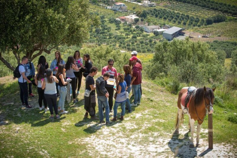 Heraklion: Horseriding Day Tour with Lunch and Transfer - Practical Tips for Travelers