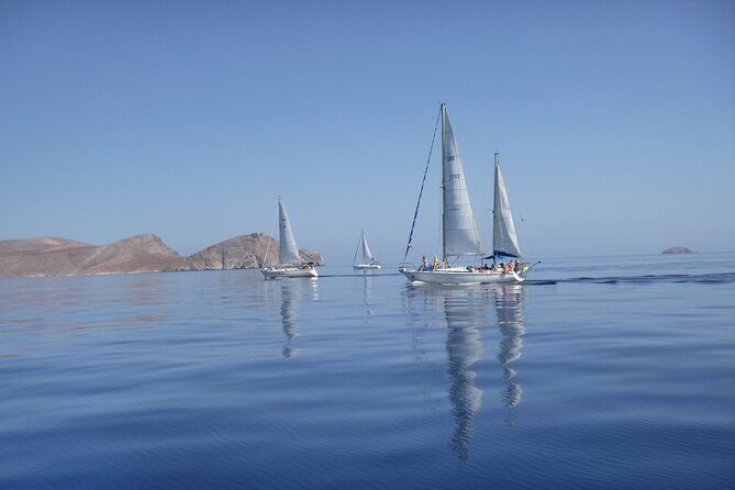 Heraklion: Nature Reserve Full day sailing to Dia Island & Lunch - The Bottom Line: Who Should Book This Tour?