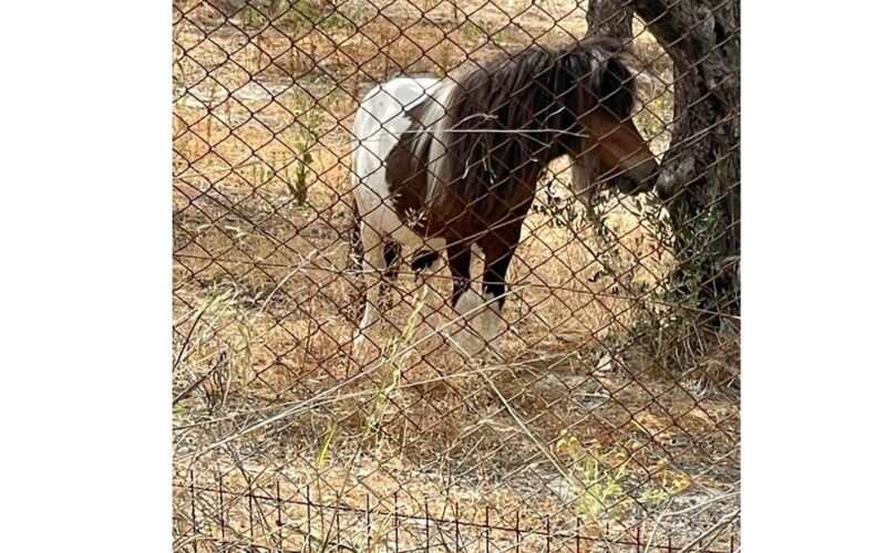 Heraklion :Olive & Dragon Farm Tour & Cretan Farmers Brunch - Final Thoughts