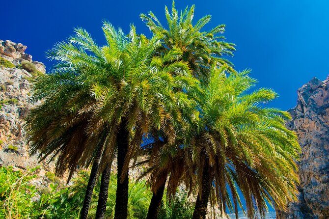 Heraklion: Preveli Boat Trip, Damnoni & Kourtaliotiko springs - What the Tour Entails: An In-Depth Itinerary Breakdown