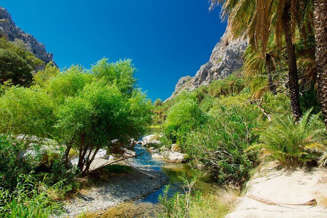 Heraklion: Preveli Boat Trip, Damnoni & Kourtaliotiko springs - The Sum Up: Who Should Consider This Tour?