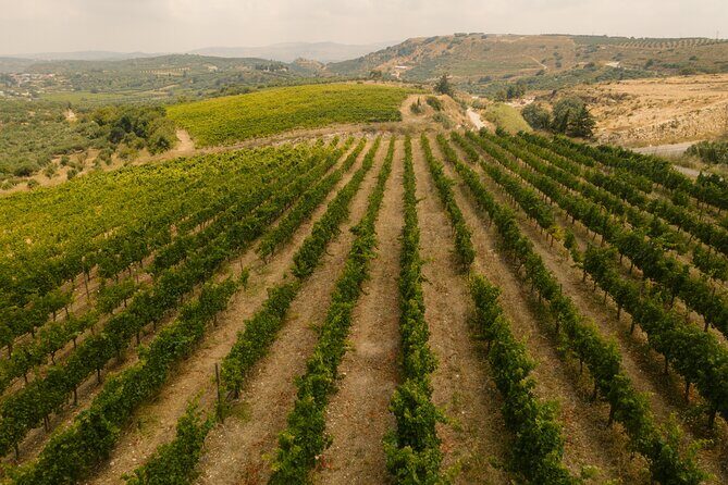 Heraklion Private Half-Day Gastronomy Diaries Experience in Lyrarakis Winery - Final Thoughts