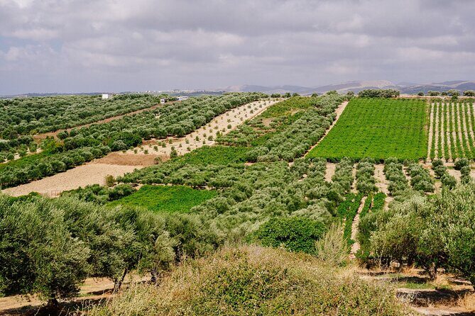 Heraklion Private Olive Oil and Wine Gastronomy tour with Lunch - FAQs