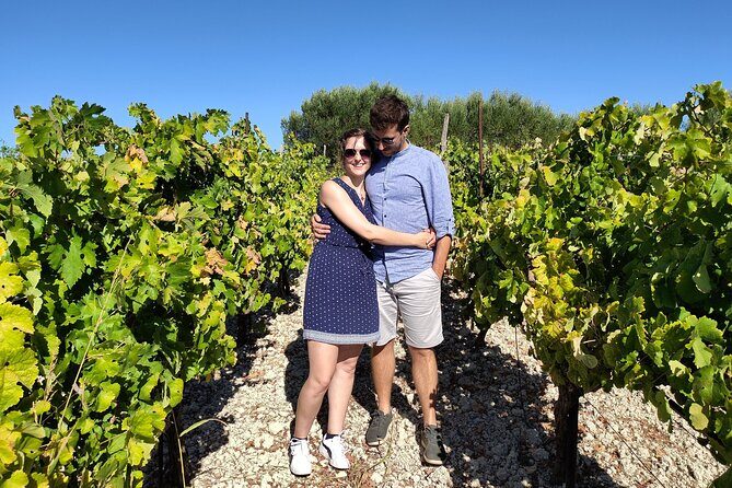 Heraklion Private Olive Oil and Wine Gastronomy tour with Lunch - Final Thoughts