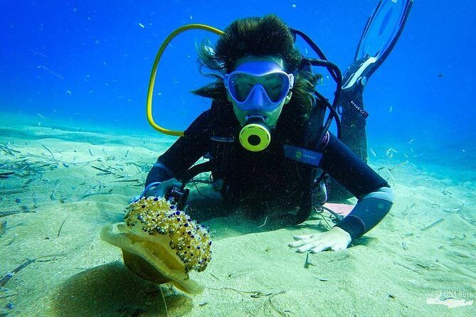 Heraklion: Scuba Diving Experience for First-Timers - Best Time to Book & Weather Considerations
