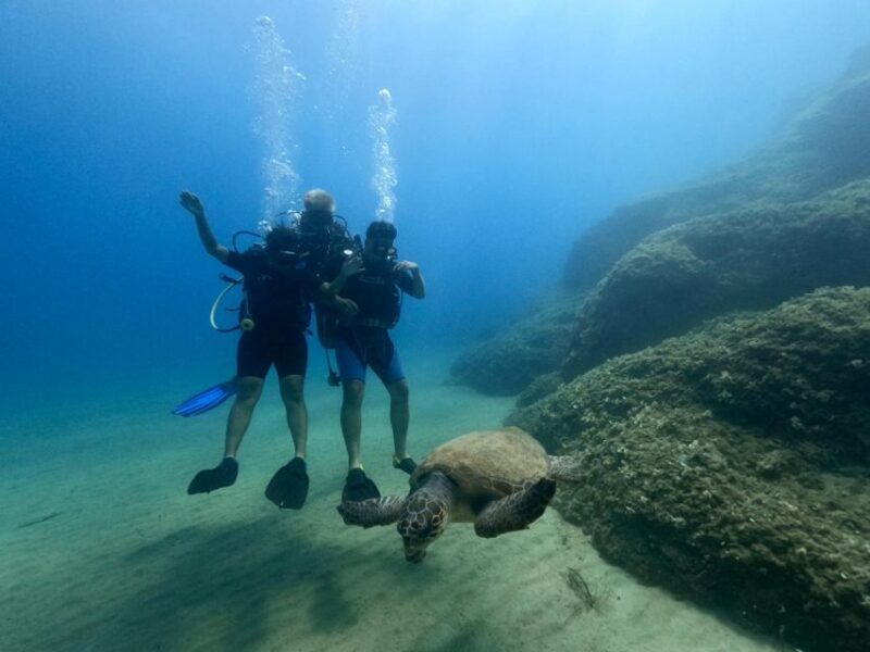 Heraklion: Scuba Diving Experience for First-Timers - Who Will Love This Tour?
