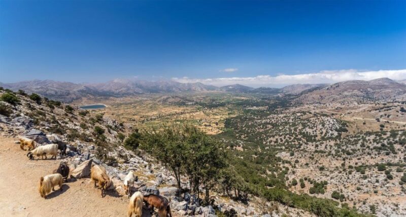 Heraklion: Sunset Safari with Dinner & Prosecco - Practical Details and Value