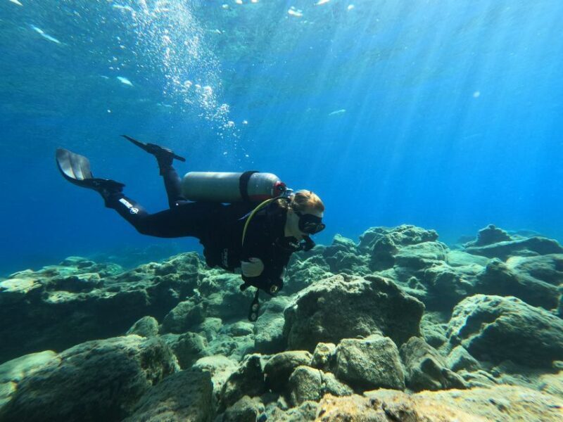 Heraklion: Try Scuba Diving For Beginners (1 dive) - Heraklion: Try Scuba Diving For Beginners (1 dive) — An Honest Review