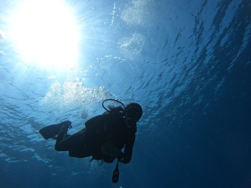 Heraklion: Try Scuba Diving For Beginners (1 dive) - A Typical Day on the Try Scuba Tour