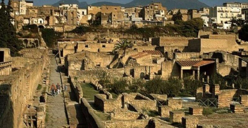 Herculaneum: 2hour Shared Guided Tour + entry tickets - The Value of Guided Tours in Herculaneum